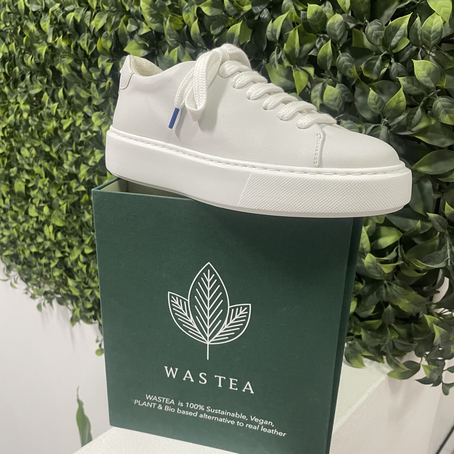 WASTEA: an alternative to leather made from tea waste – Shoelutions